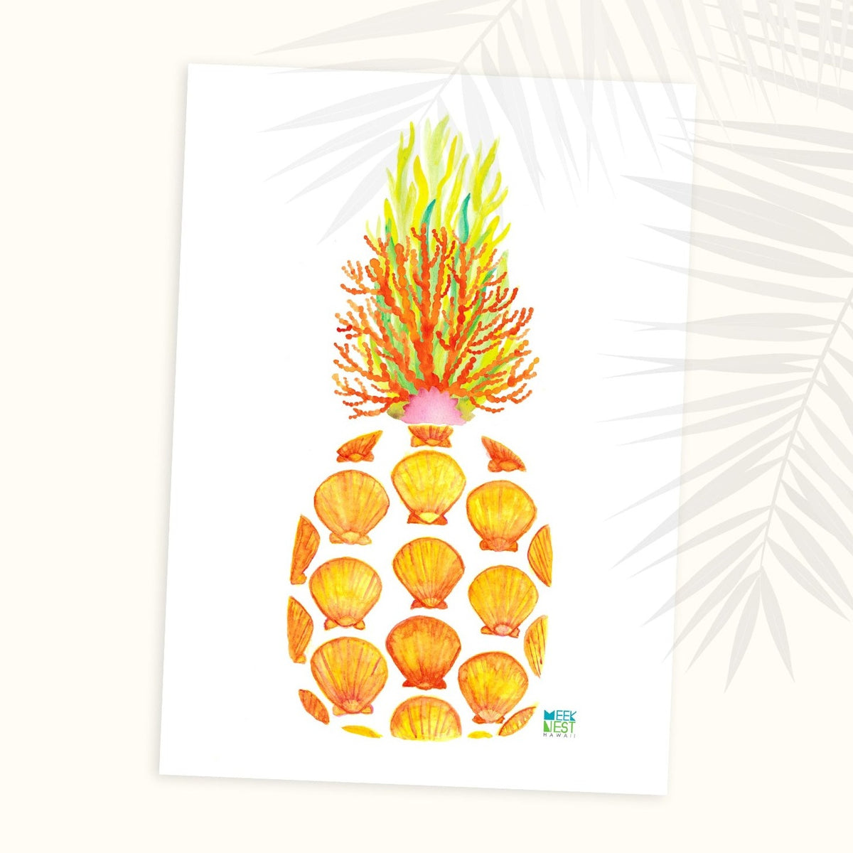 Pineapple: Sunrise Shell – MEEKNEST HAWAII